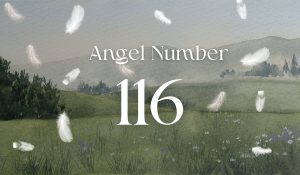 Understanding Angel Number 116 Meaning