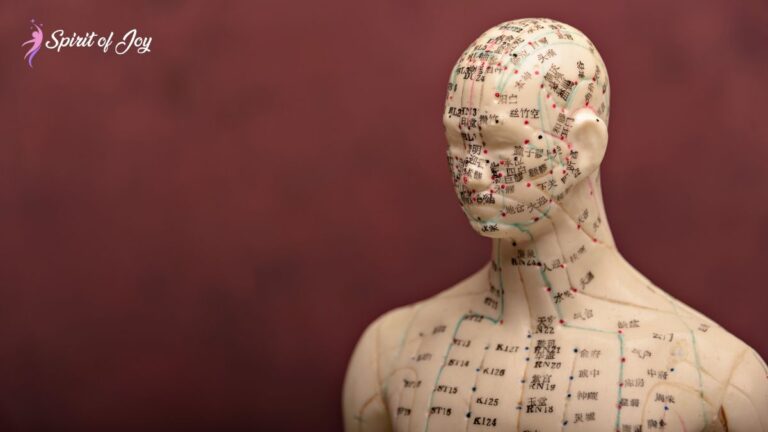 Energy Meridians in Chinese Medicine Explained - Spirit of Joy