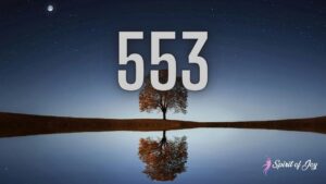 Understanding Angel Number 553 Meaning - Spirit of Joy