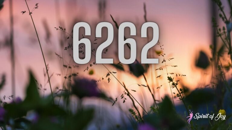 Understanding Angel Number 6262 Meaning - Spirit of Joy