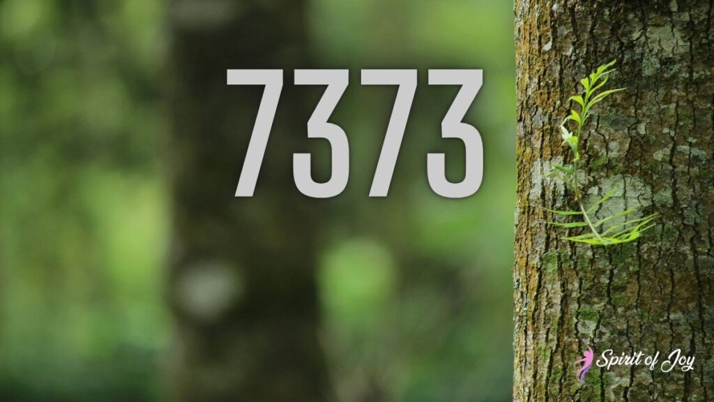 Understanding Angel Number 7373 Meaning - Spirit of Joy