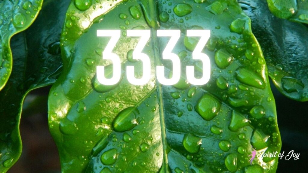 Understanding Angel Number 3333 Meaning - Spirit of Joy