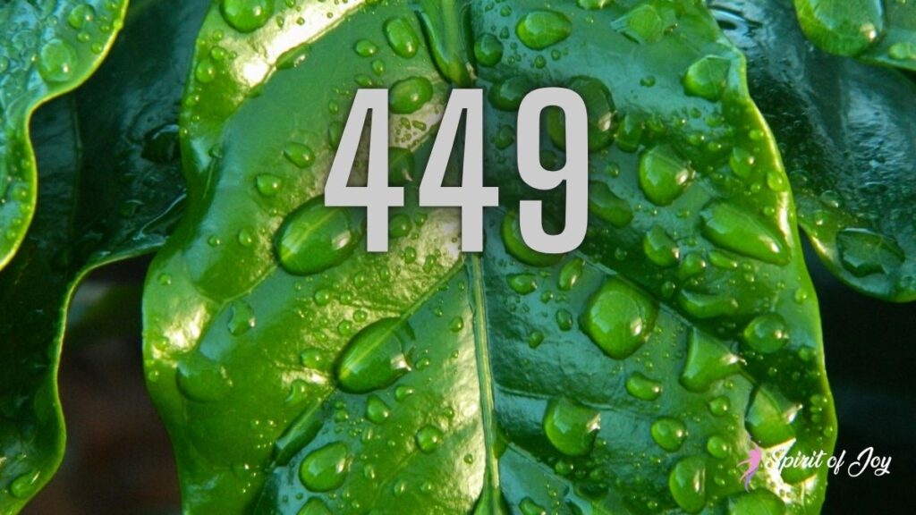 Understanding Angel Number 449 Meaning - Spirit of Joy
