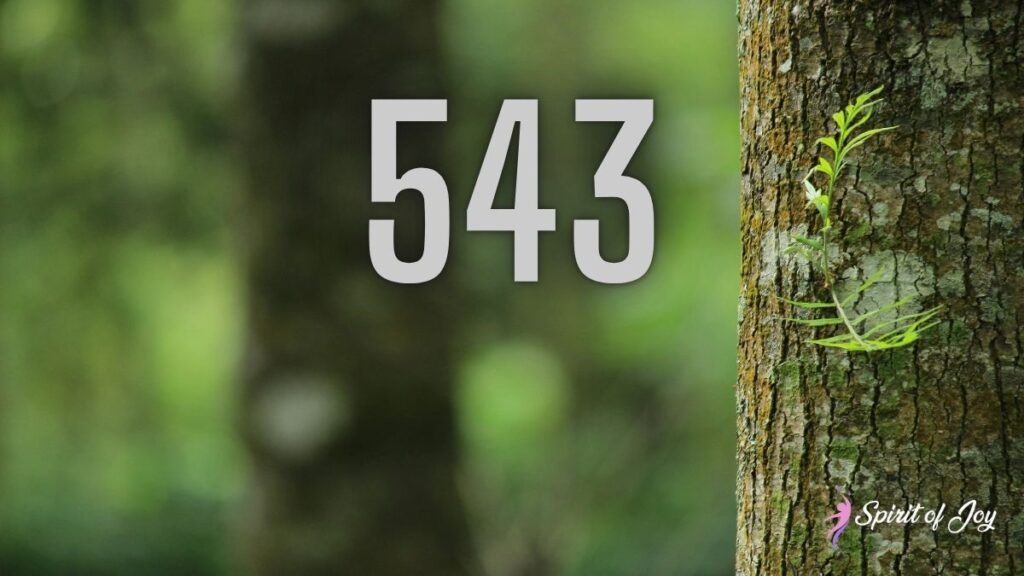 Understanding Angel Number 543 Meaning - Spirit of Joy