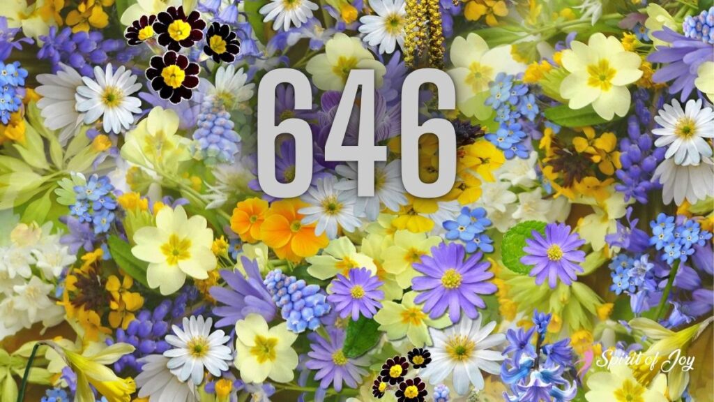 Understanding Angel Number 646 Meaning - Spirit of Joy