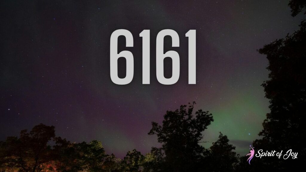 Understanding Angel Number 6161 Meaning - Spirit of Joy