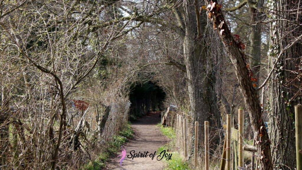 How Native American Tribes View Reincarnation - Spirit of Joy